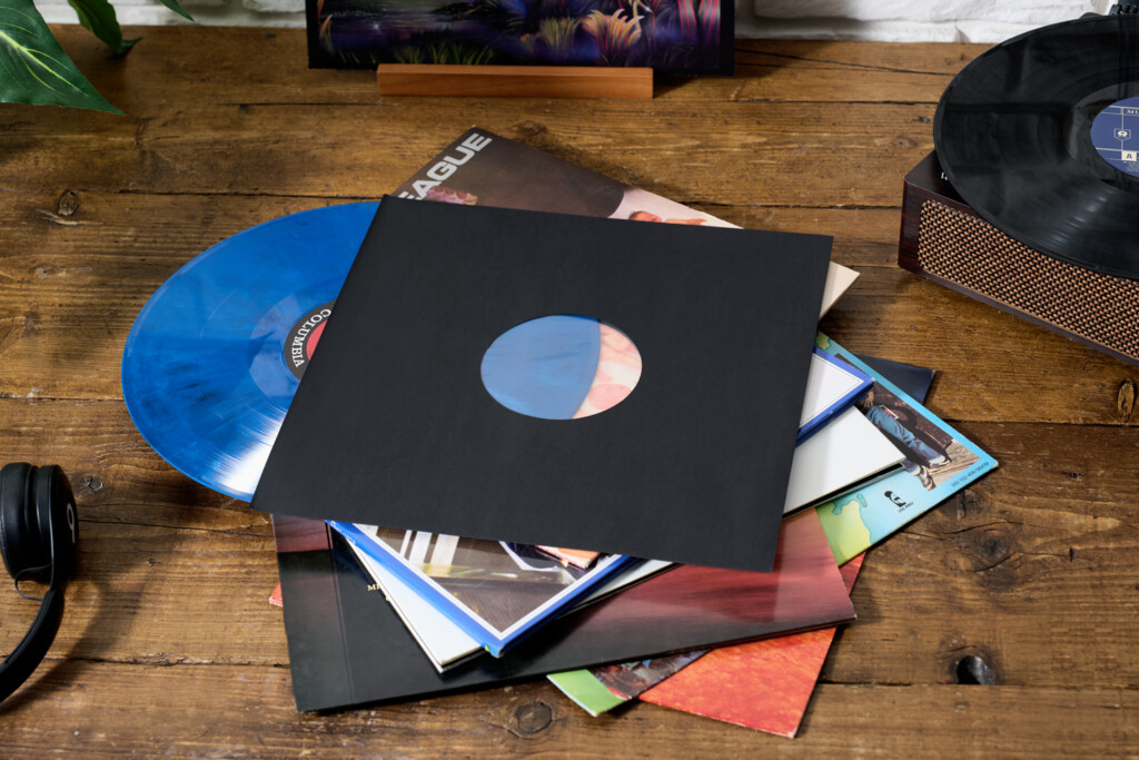 12″ Paper Inner Record Sleeves with HDPE Bag lining – Pack of 25 ...